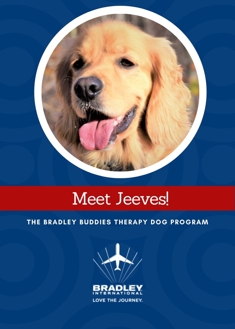 Bradley Buddies Therapy Dog Program | Bradley International Airport